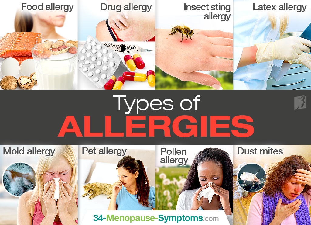 Types Of Allergies Menopause Now