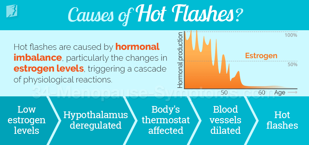 Causes of Hot Flashes during Menopause | Menopause Now Causes of Hot Flashes during Menopause | Menopause Now
